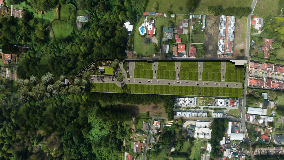 Vistalia - Palo Blanco