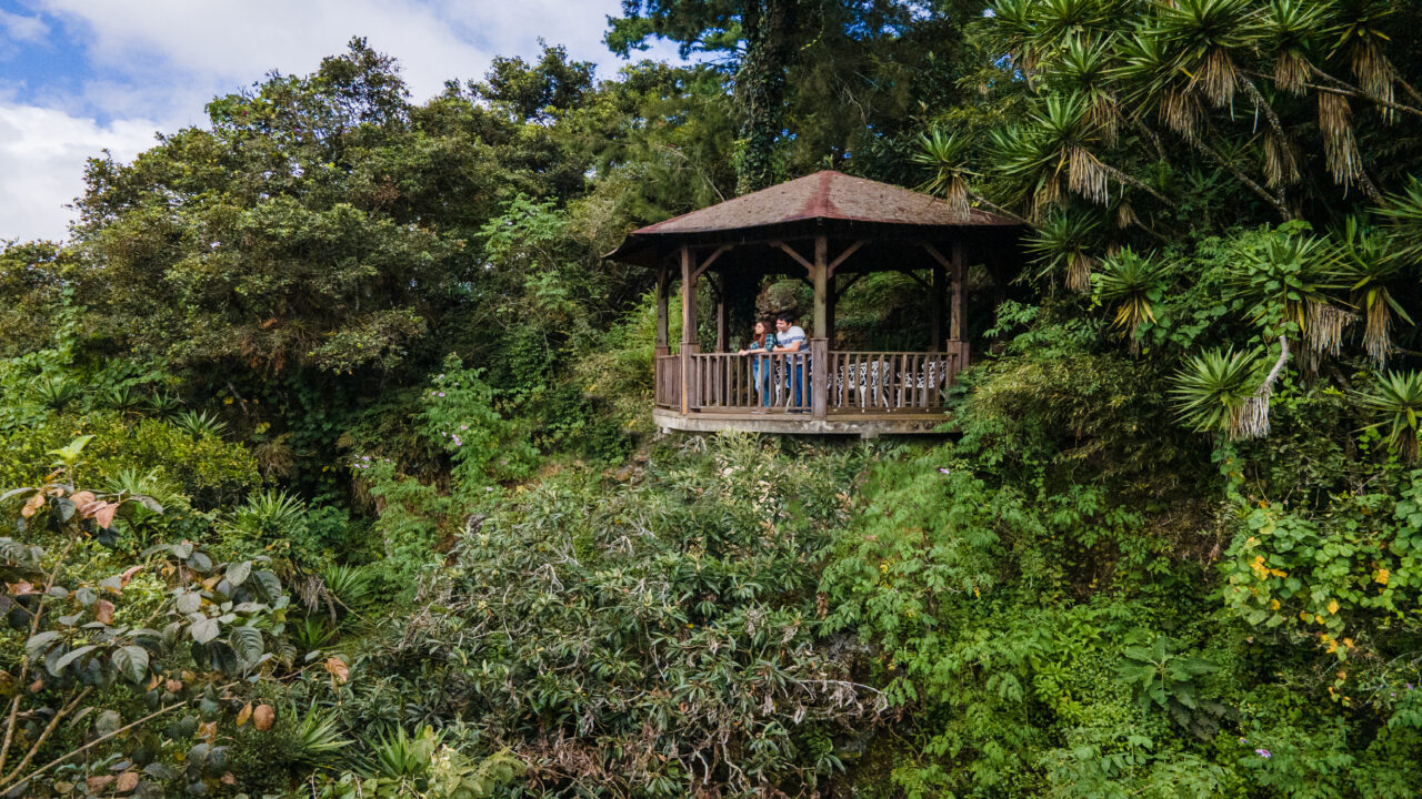 Vistalia - Palo Blanco